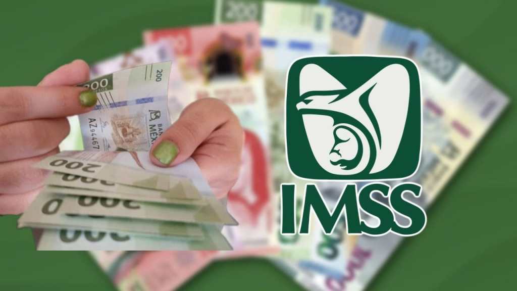 Cédula Digital del IMSS: ¿Qué es y cómo activarla desde la app? | La ...