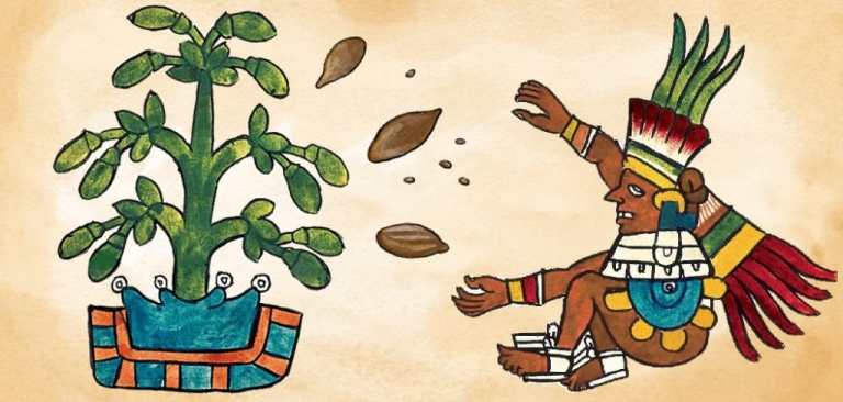 El origen del chocolate en Mesoamérica: El legado de los aztecas | La ...